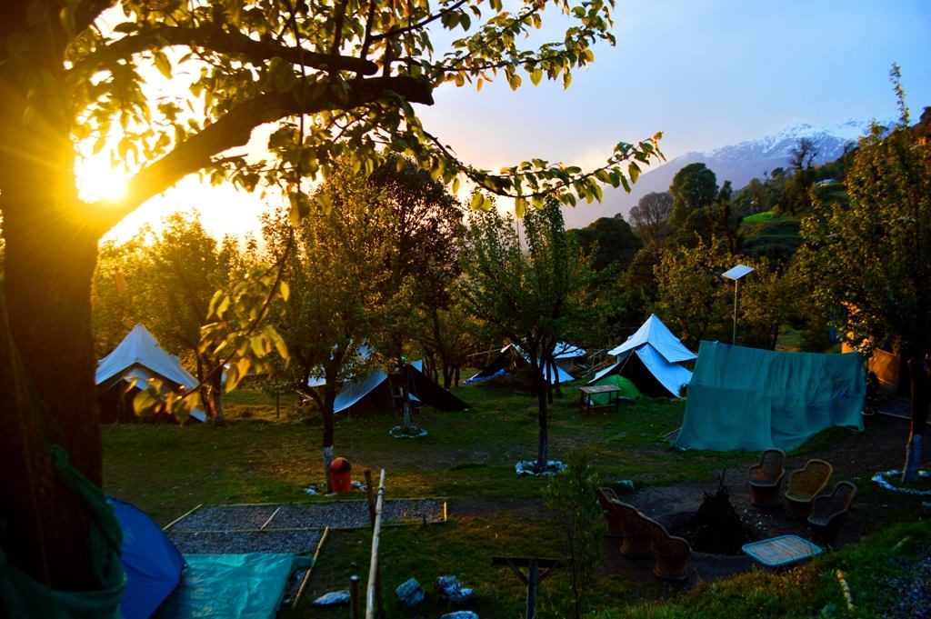 Camping at Camp Oak View and Paragliding in Bir Billing for packages